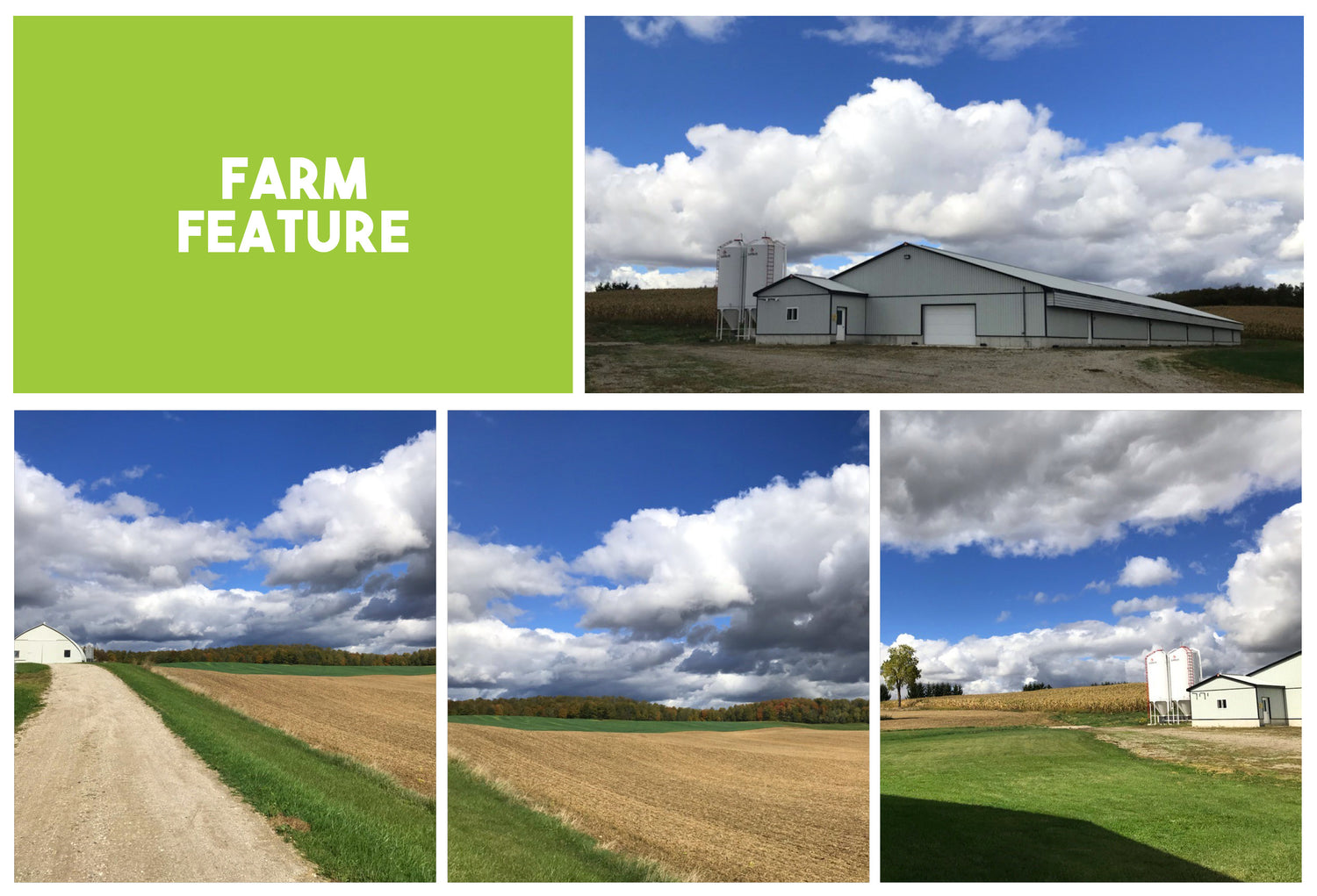 Our Farmers – Sunrise Poultry